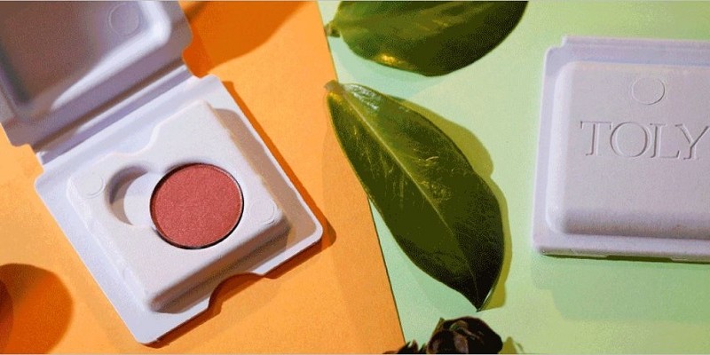 News - Toly Korea Overseas Website (톨리 코리아 해외 홈페이지)